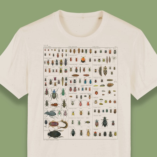 Insects Unisex T-shirt Insect Tshirt Bug Tshirt Entomology - Etsy