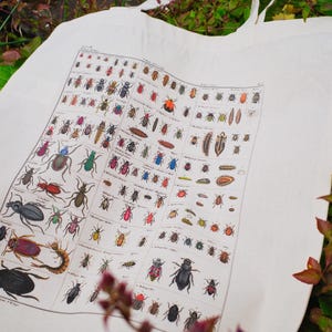 Insects Tote Bag - Insect Shopper, Bug Canvas Shopping, Entomology Tote ...