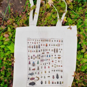 Insects Tote Bag - Insect Shopper, Bug Canvas Shopping, Entomology Tote ...
