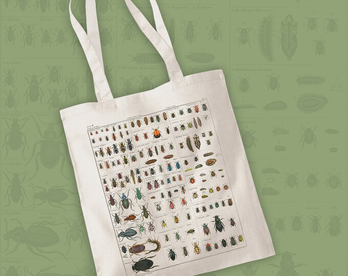 Beetle Bag - Etsy
