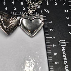 Stainless Steal Vampire Bat Locket Personalised With One Initial Unisex ...