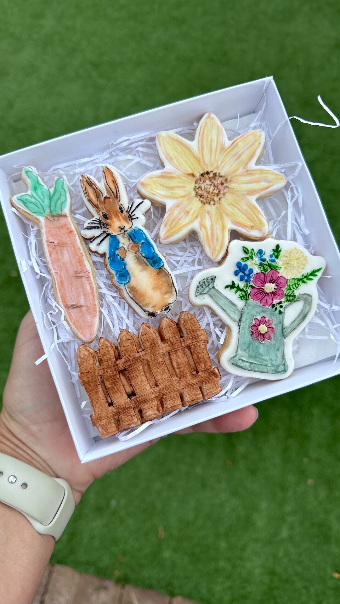 Peter Rabbit Cookies, Peter Rabbit Birthday, Biryhday Cookies - Etsy