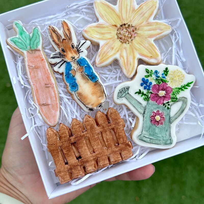 Peter Rabbit Cookies - Etsy