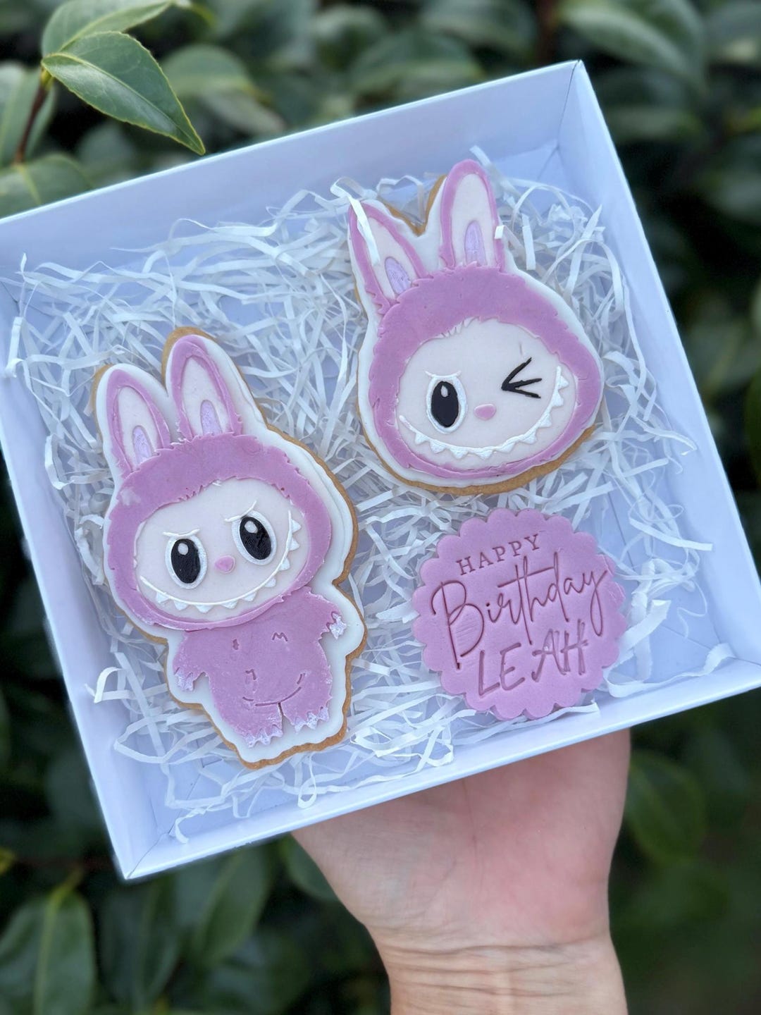 Labubu Birthday Cookies | Novelty Gift - Etsy