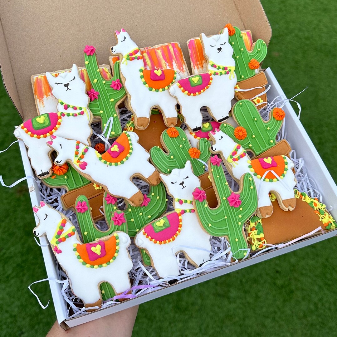 Llama Birthday Cookies | Fiesta Cookies | Cactus Cookies - Etsy