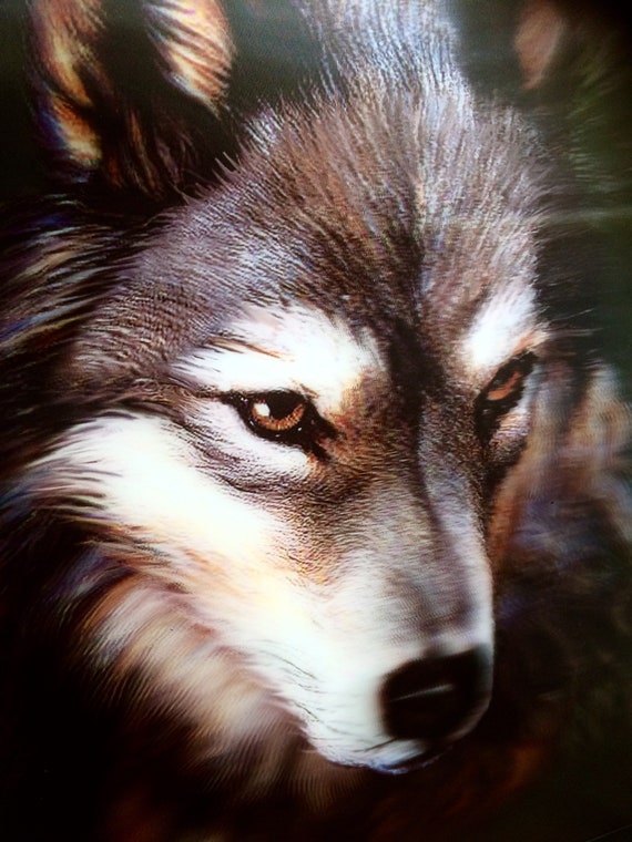 Loup le loup visage image 3D 3D encadré Home Déco | Etsy