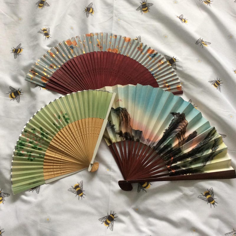 Vintage Hand Fan - Etsy