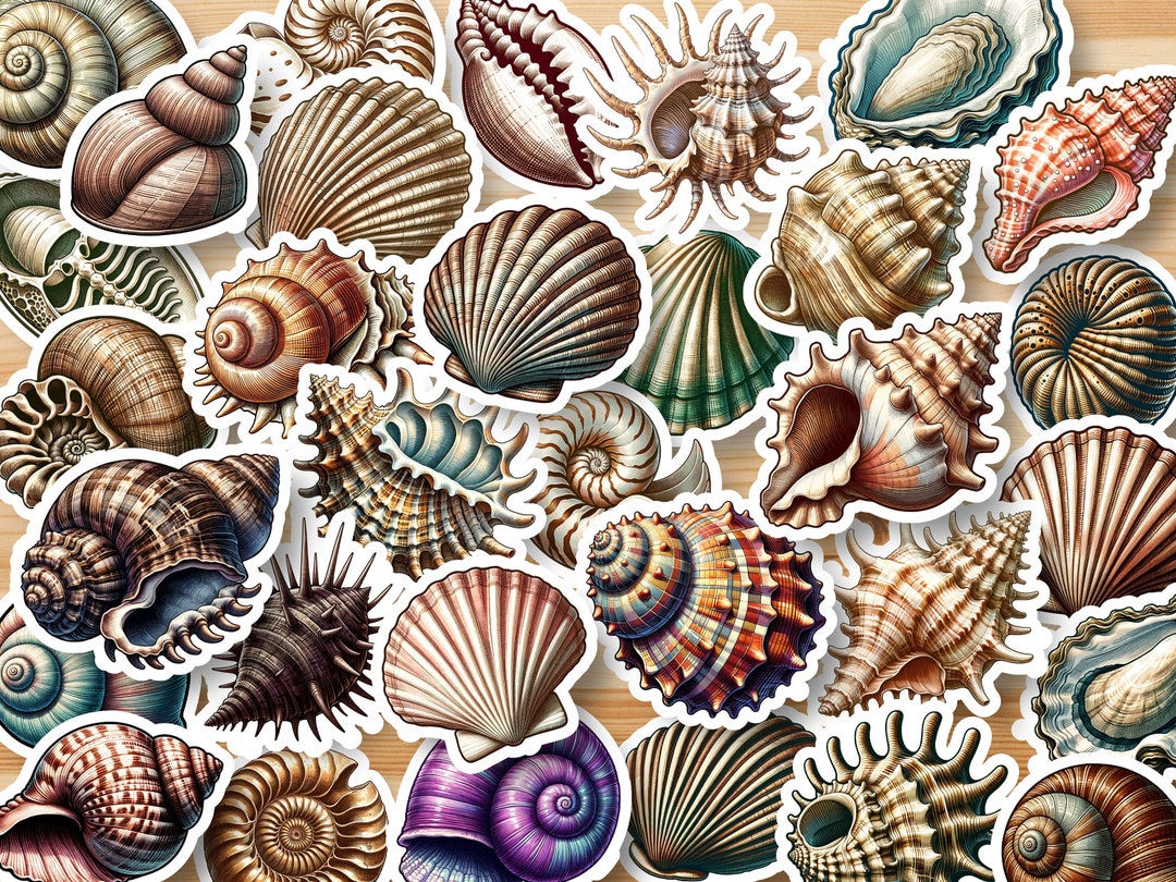 Shell Stickers | Ocean Beach Sticker Set | Scrapbooking and Journal ...