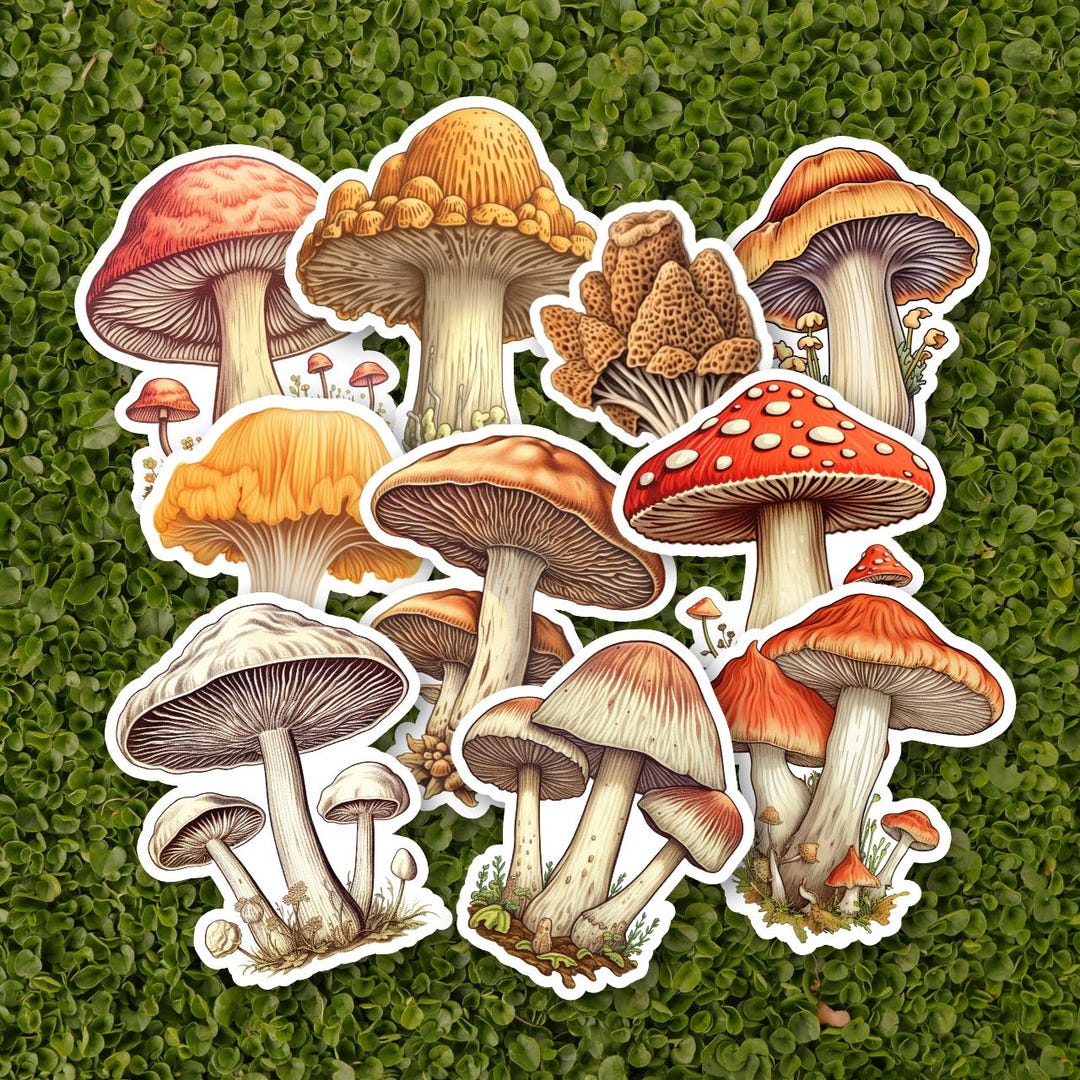 Pegatinas de hongos | Set de pegatinas de naturaleza botánica ...