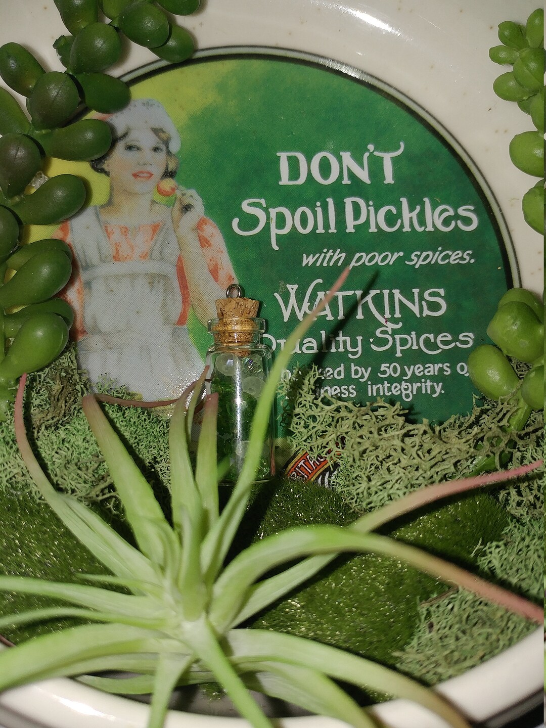 Vintage Watkins "don't Spoil the Pickles" Bowl Planter With Faux ...