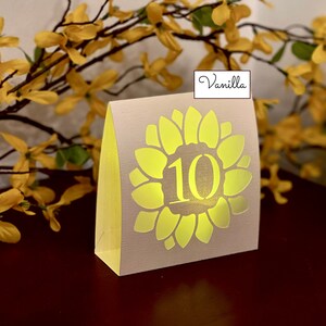 SUNFLOWER Table Numbers Luminaries Gold, Copper, White, Vanilla, Kraft ...