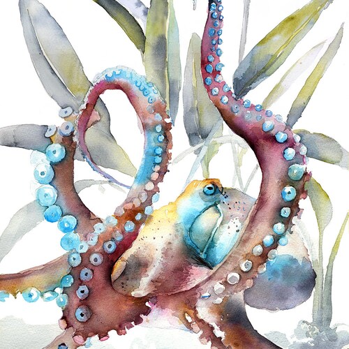 Octopus Art Print Watercolor Abstract Painting Wall | Etsy
