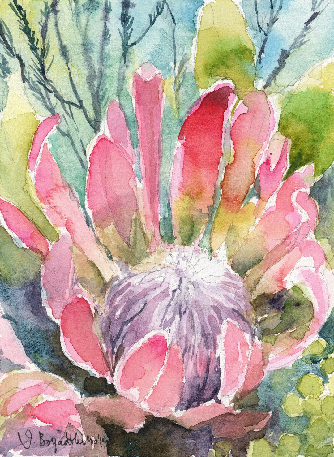 Protea Watercolor Print, Protea Painting, Floral Illustration, Colorful ...