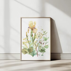 Wildflower June Boho Botanical Illustration, Floral Wall Art Decor ...
