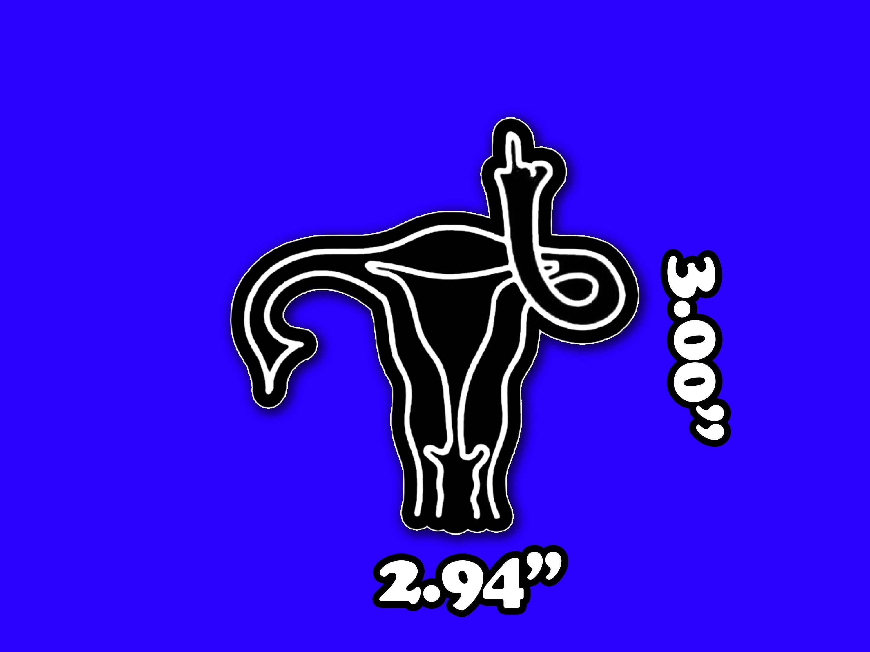 Uterus Middle Finger Custom Die Cut Sticker LIMITED | Etsy