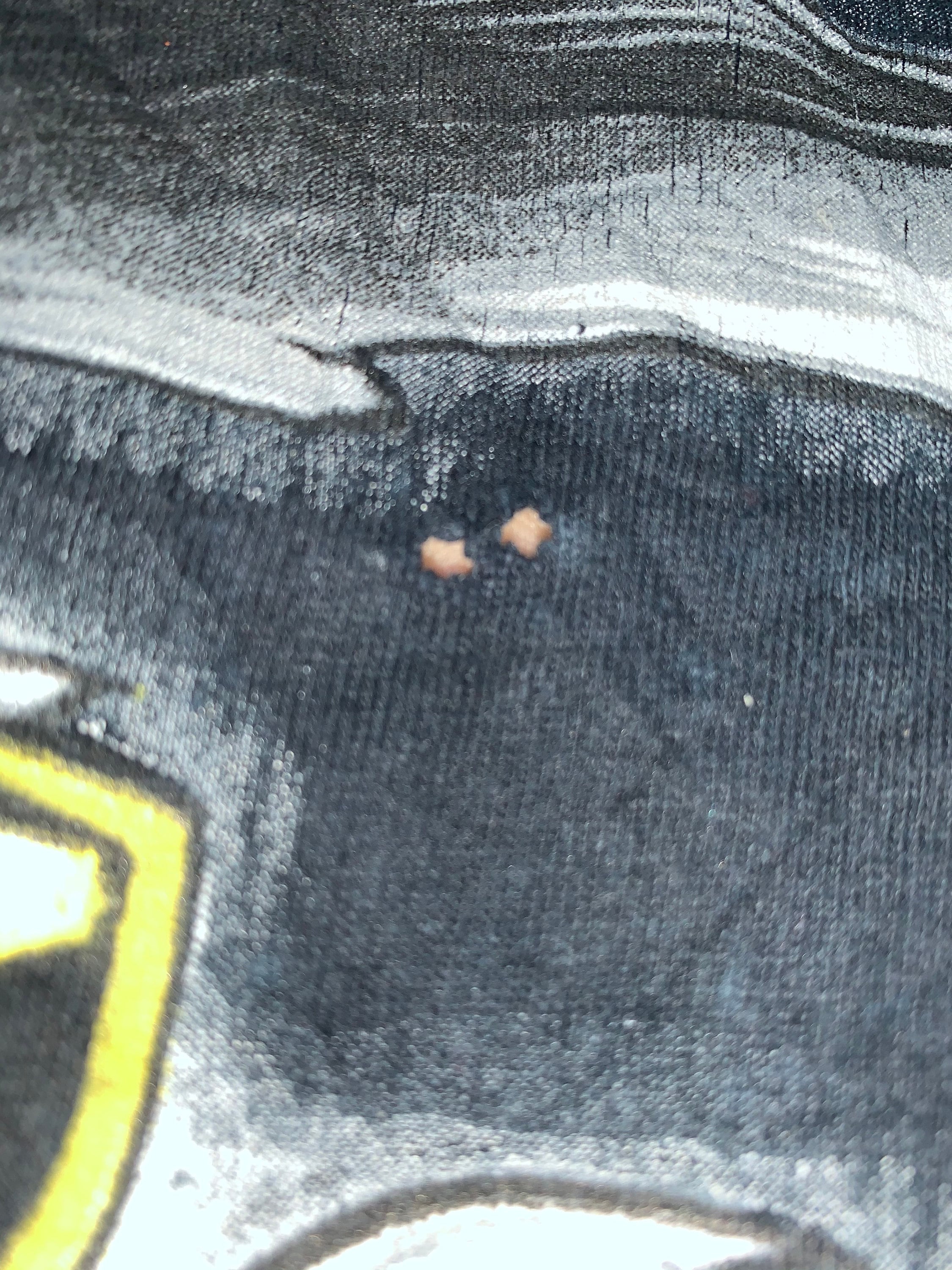 Looney Tunes Road Runner Wile E Coyote Bonafide Hustla Cartoon T-shirt ...