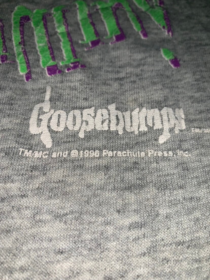 Rare!! Goosebumps the Mummy Ready for A Scream 1996 Parachute Press ...