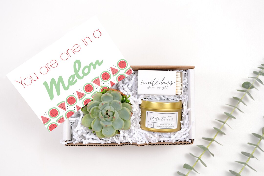 Melon Mini Gift Box a Succulent in Clay Pot and a Natural Scented Soy ...