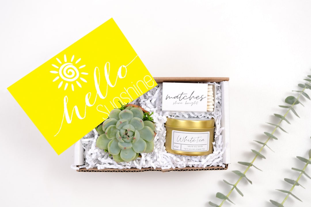 Hello Sunshine Mini Gift Box- a Succulent in Terra Cotta Pot and a 100% ...