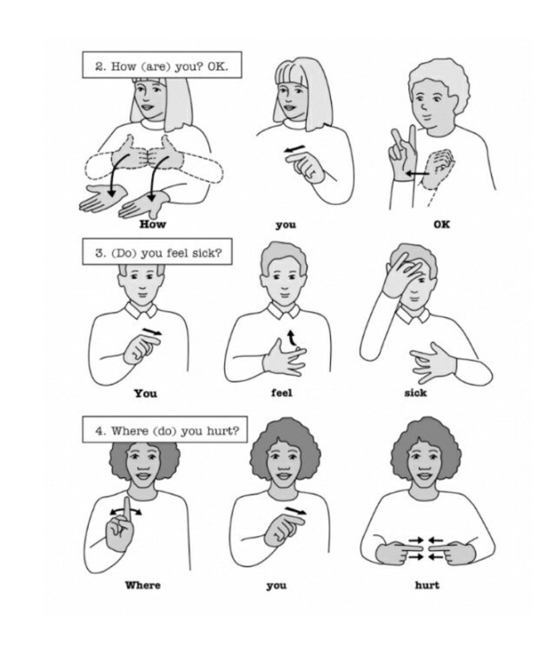 Beginning American Sign Language Lessons Etsy