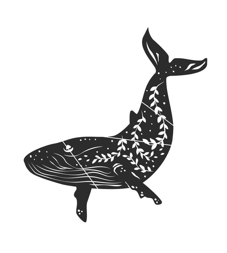 Whale Svg Ocean Animal Svg Whale Silhouette Whale Cut File - Etsy