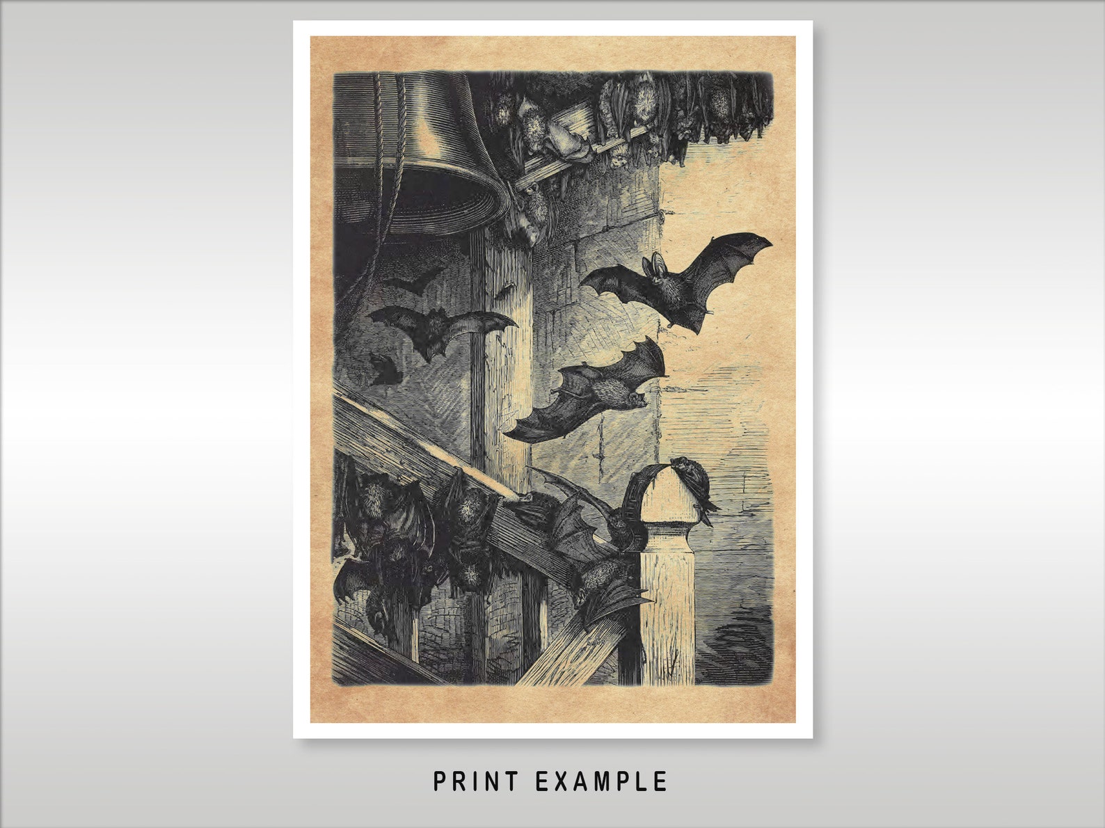 Bats in the Belfry: Vintage Gothic Engraving ~ Reproduction Art Print ...