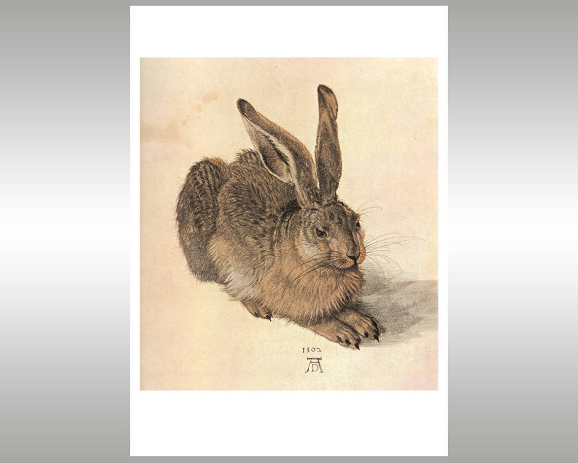 Young Hare 1502 by Albrecht Durer Reproduction Print FREE - Etsy