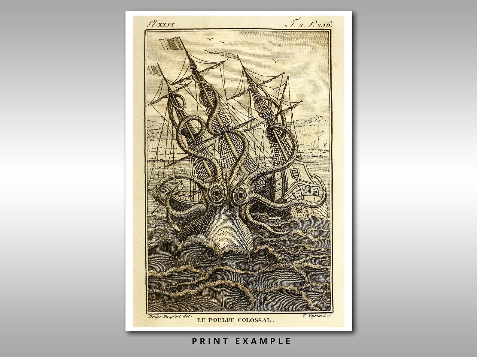 Le Poulpe Colossal 1801 the Colossal Octopus Kraken Sea - Etsy UK