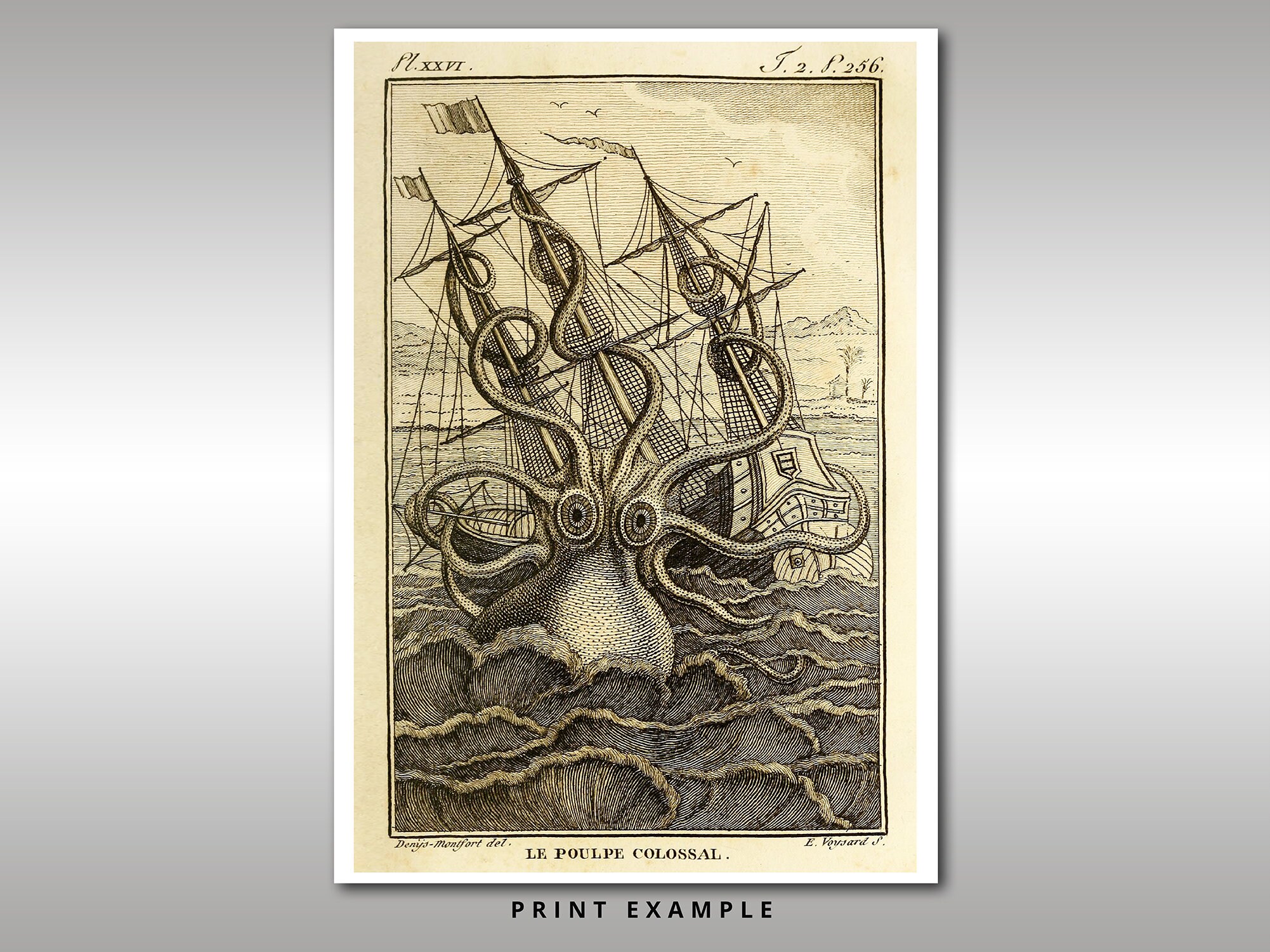 Le Poulpe Colossal 1801 the Colossal Octopus Kraken Sea - Etsy UK