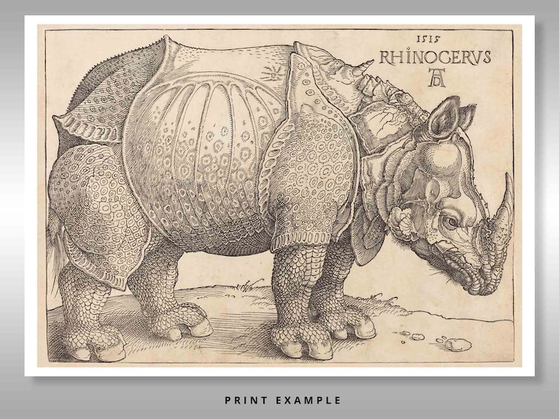 Dürer's Rhinoceros 1515 Albrecht Dürer Reproduction - Etsy