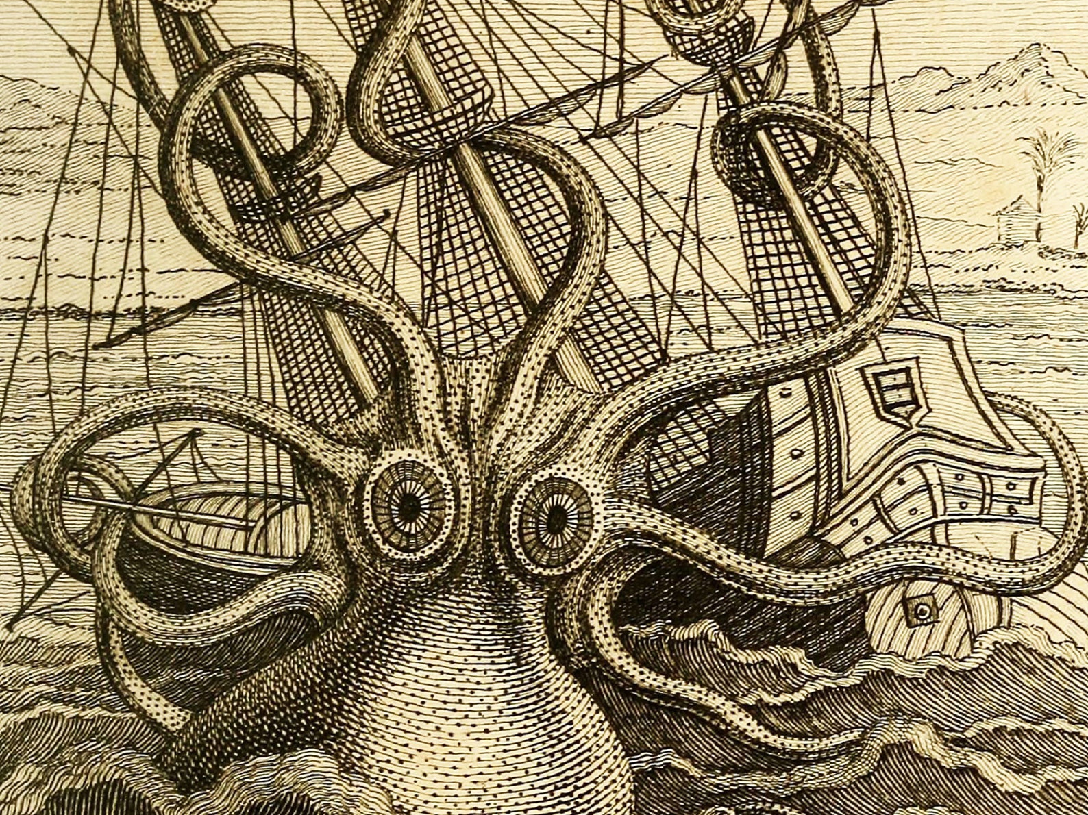 Le Poulpe Colossal 1801 the Colossal Octopus Kraken Sea - Etsy UK