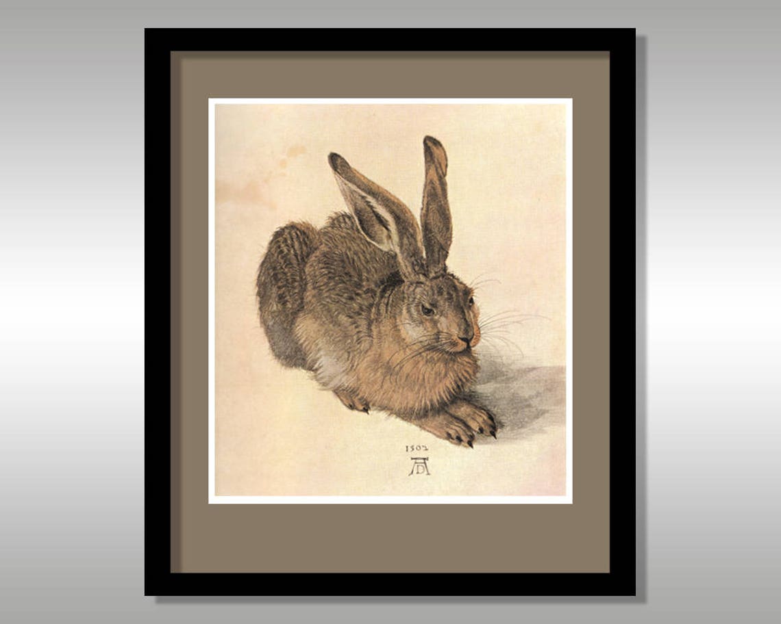 Young Hare 1502 by Albrecht Durer ~ Reproduction Print ~ Animals ...