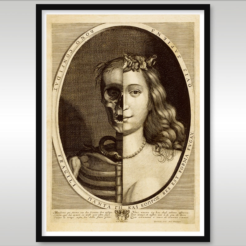 17th Century Bust - Etsy UK