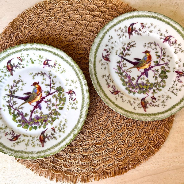 Bird Plates - Etsy
