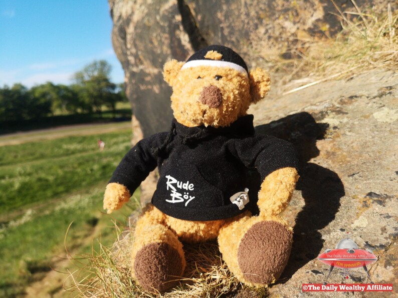 Rude Boy Teddy Bear RARE | Etsy