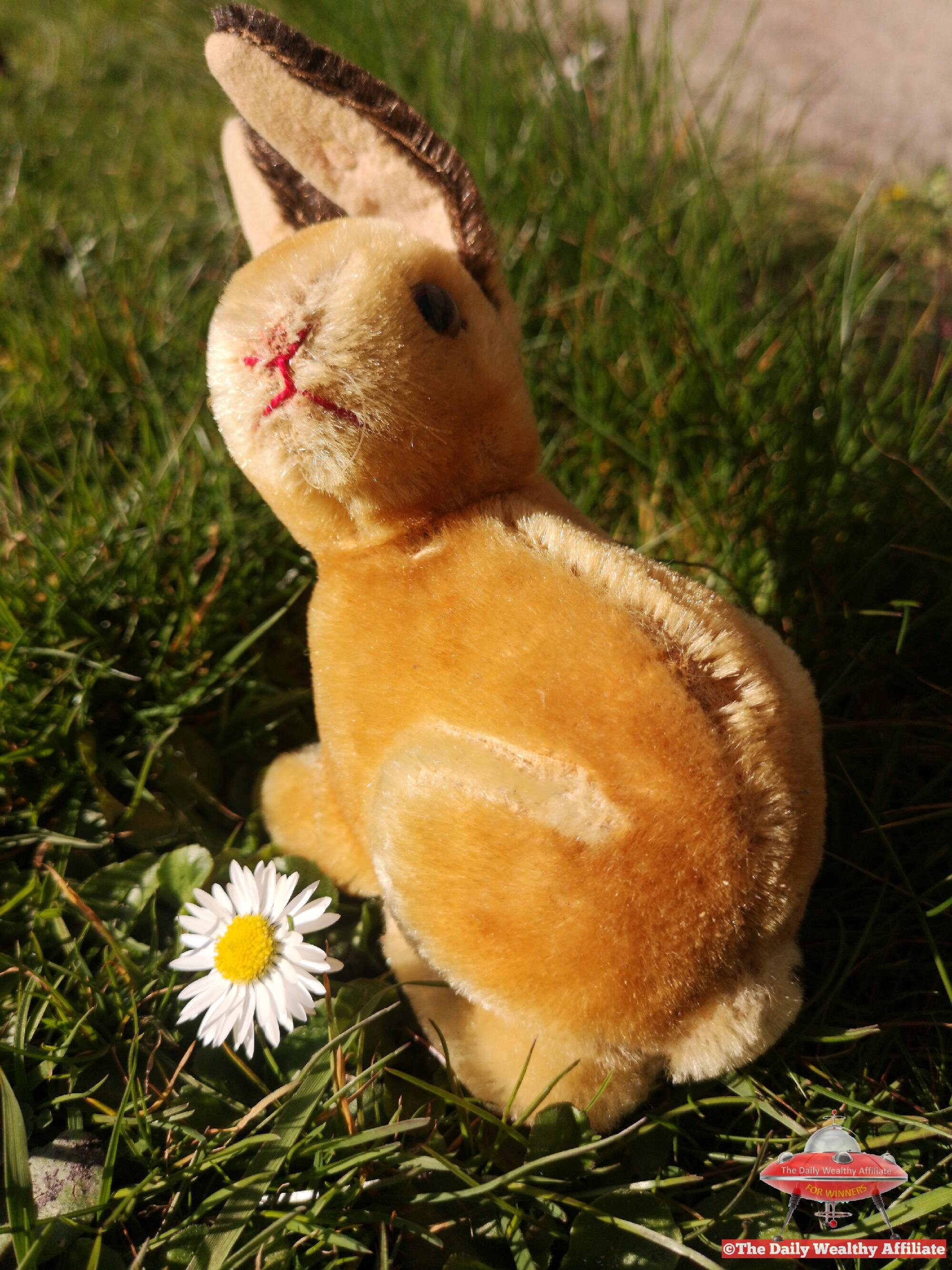 Steiff Rabbit Bunny Made in West Germany Jointed Head Vintage | Etsy