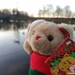 Swinton Teddy Bear Jade Soft Toys Winter Christmas Handmade - Etsy UK