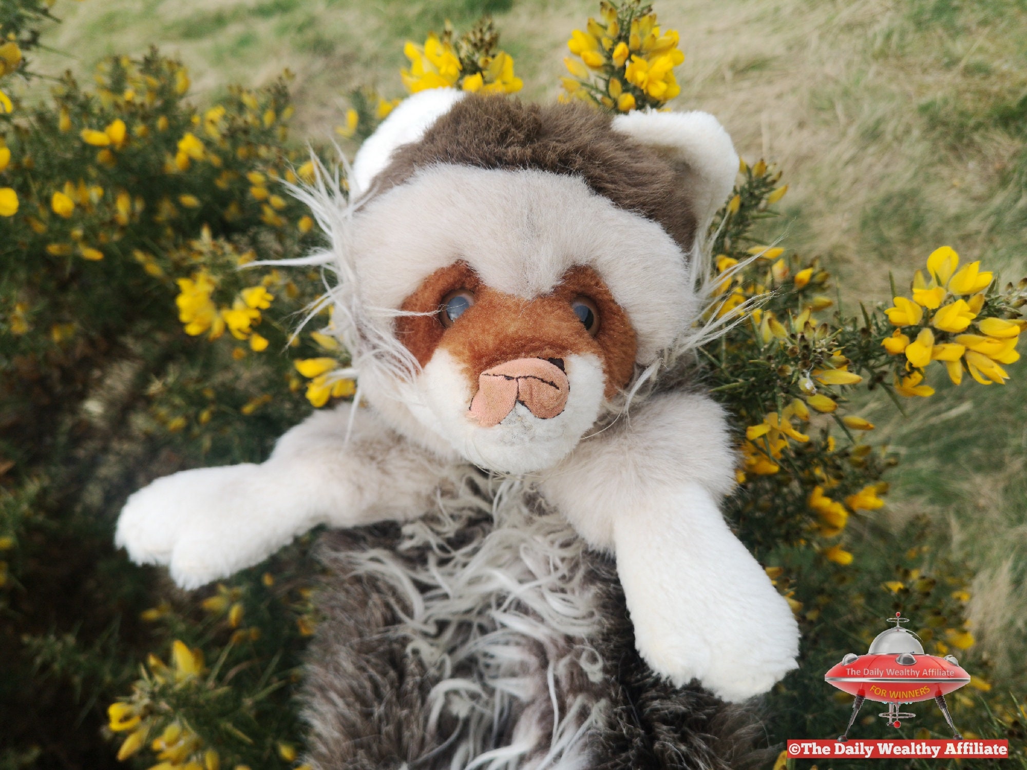 Steiff Large Raccoon Elbow Hand Puppet Animal Plush Made in | Etsy