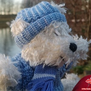 2 X Sunkid Winter Teddy Bear Germany Vintage - Etsy