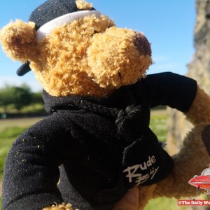 Rude Boy Teddy Bear RARE - Etsy UK