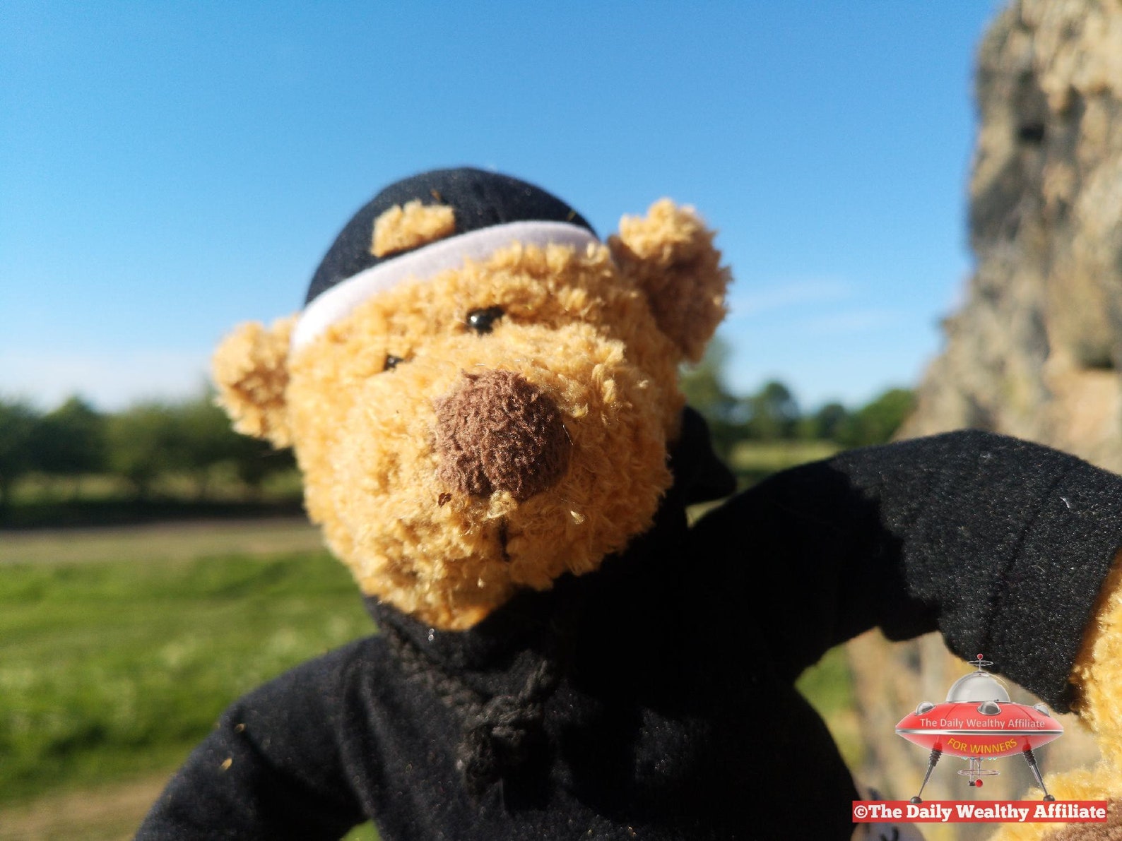 Rude Boy Teddy Bear RARE - Etsy UK