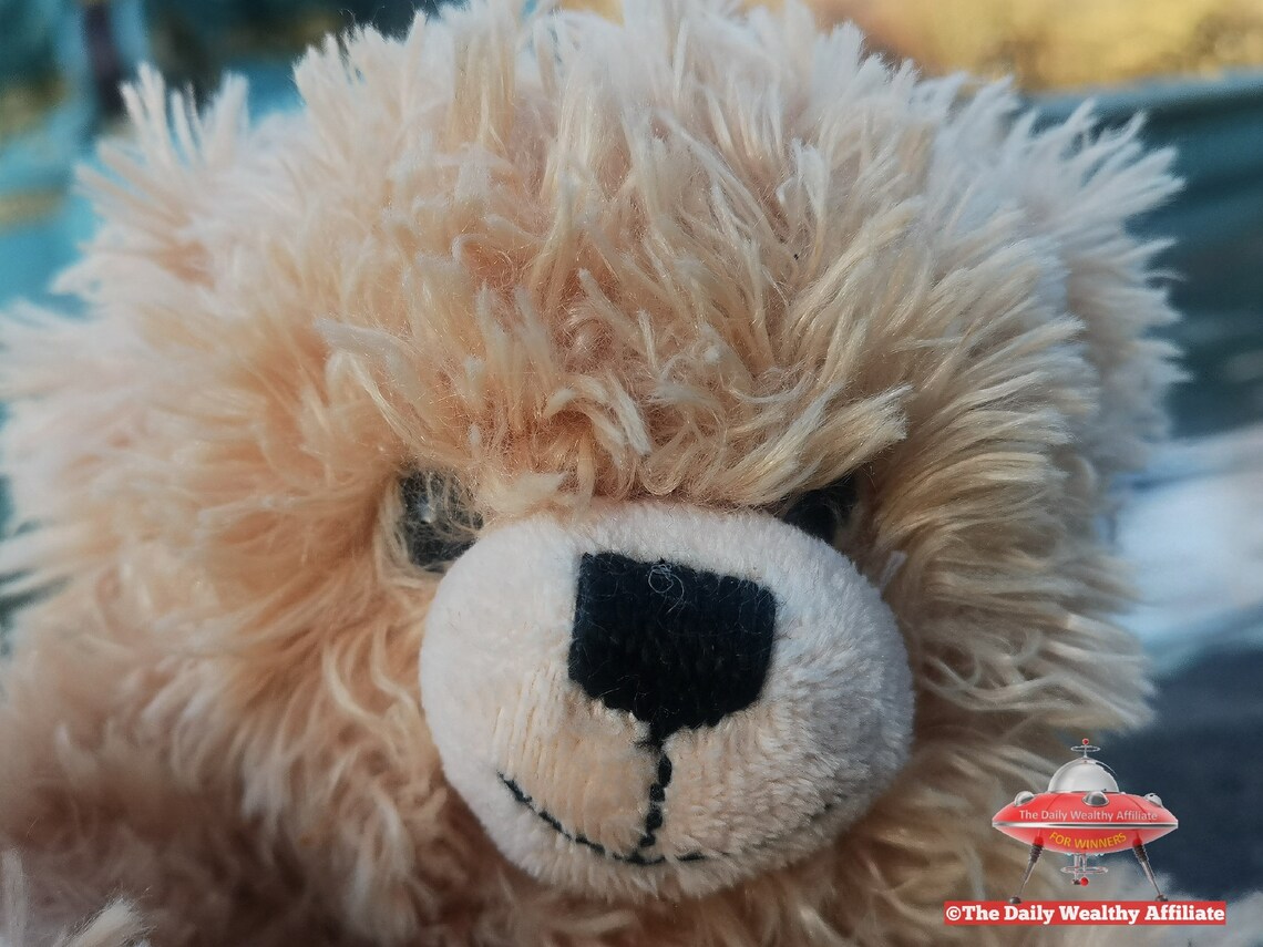 Steiff Fluffy Teddy Bear for Friendship and Love Adorable - Etsy UK