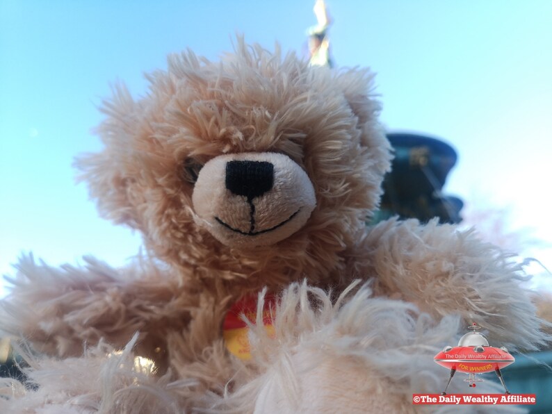 Steiff Fluffy Teddy Bear for Friendship and Love Adorable - Etsy UK