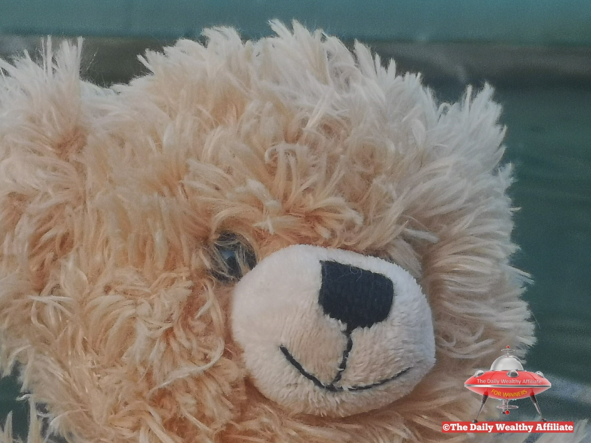 Steiff Fluffy Teddy Bear for Friendship and Love Adorable - Etsy UK