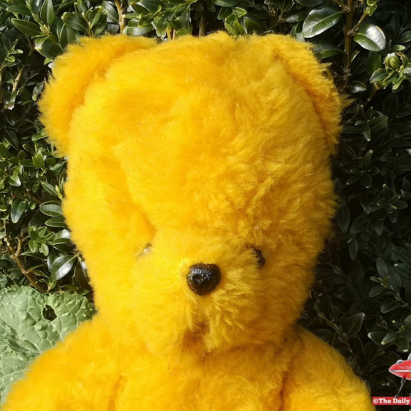 Yellow Teddy Bear - Etsy