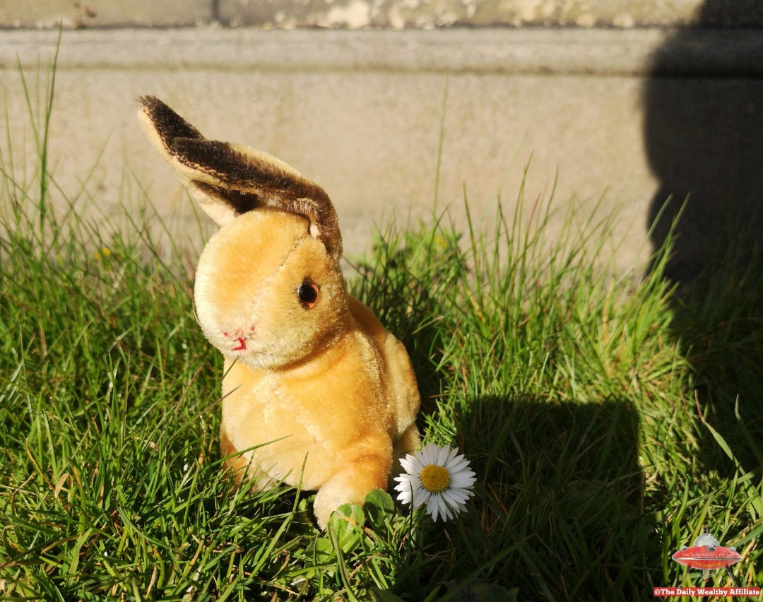 Steiff Rabbit Bunny Made in West Germany Jointed Head Vintage - Etsy