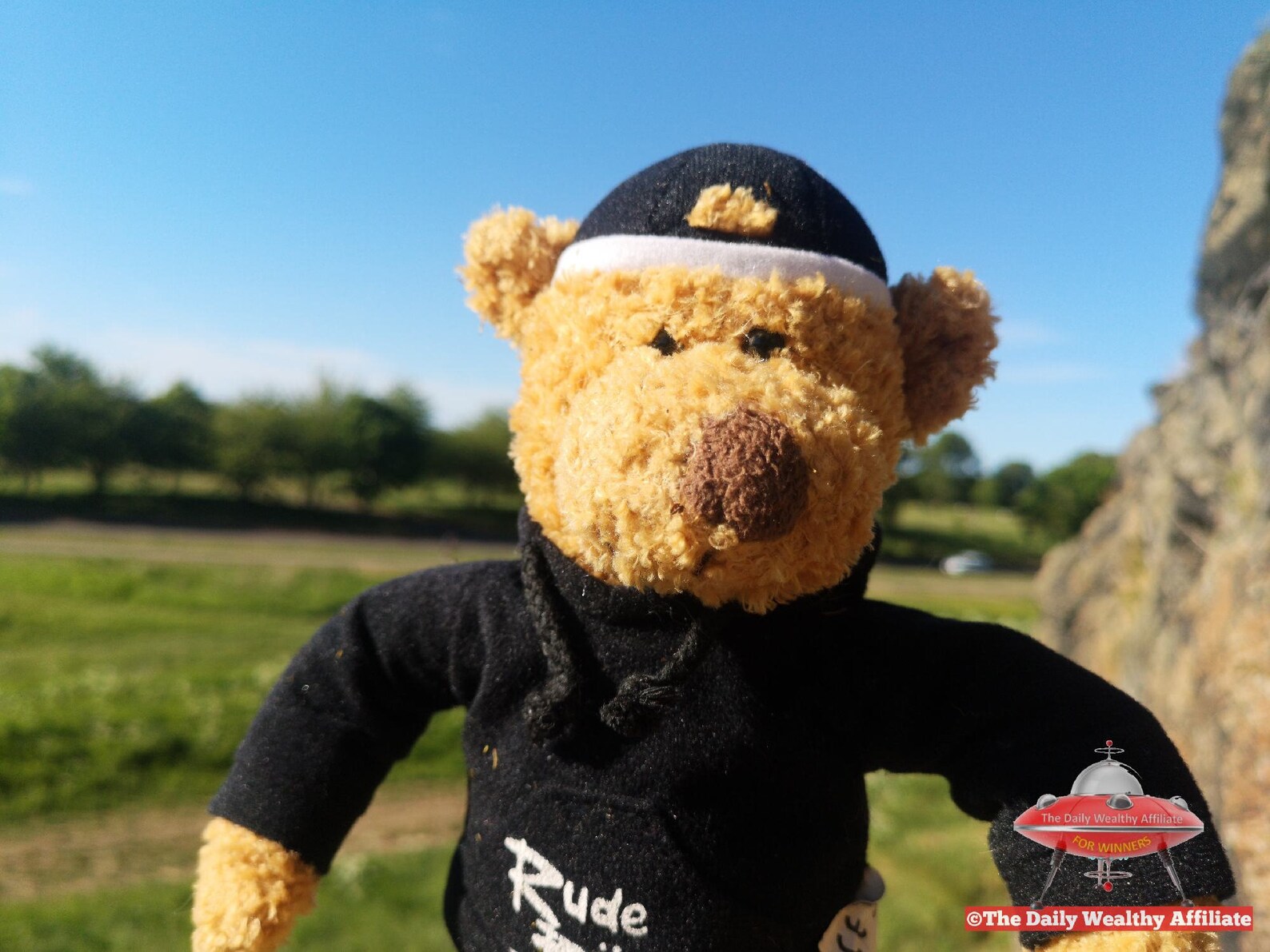 Rude Boy Teddy Bear RARE - Etsy UK