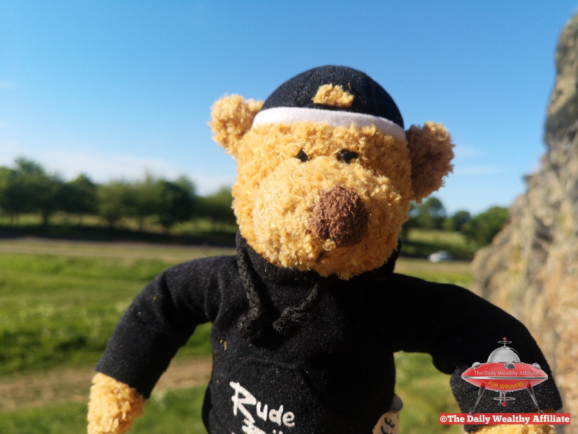Rude Boy Teddy Bear RARE - Etsy UK