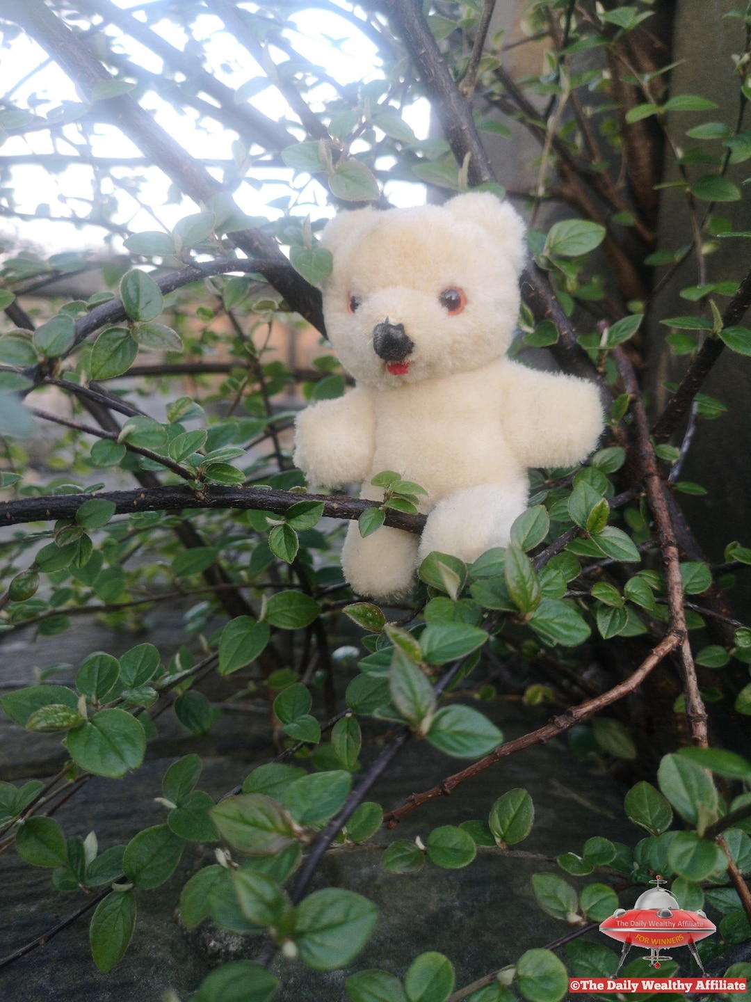 Shanghai Dolls Factory Little Teddy Bear - Etsy