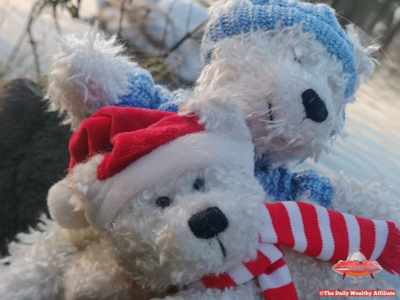 2 X Sunkid Winter Teddy Bear Germany Vintage - Etsy